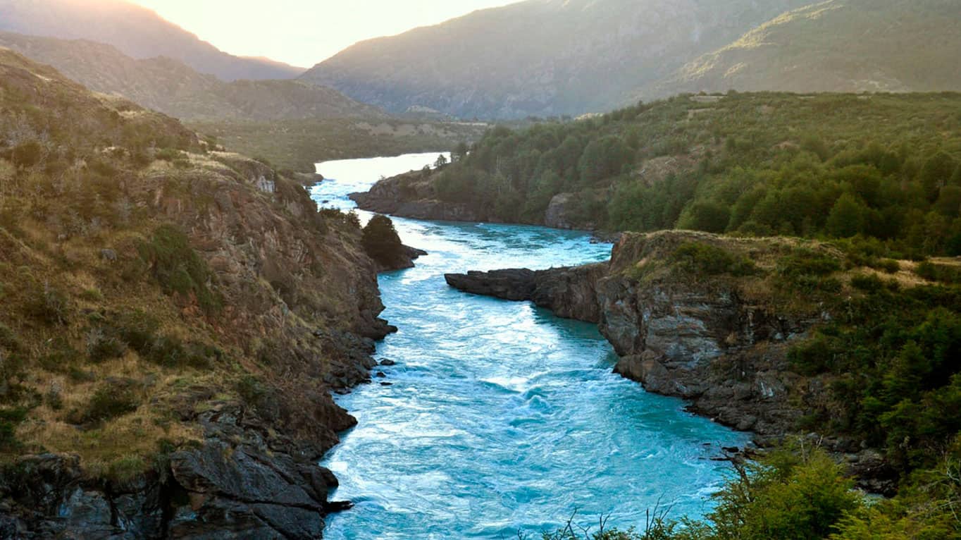 Servicios – Rio Leon