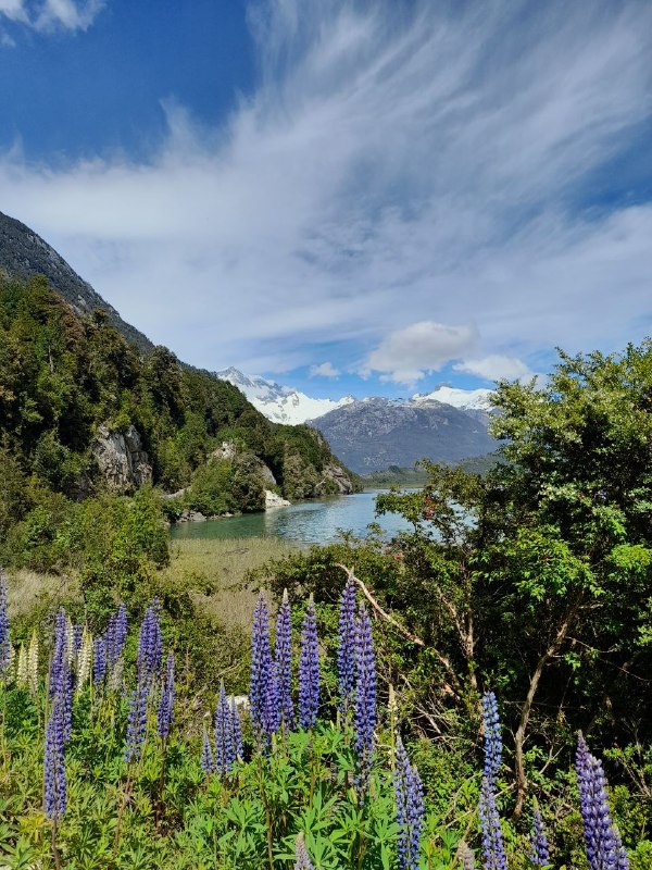 Rio Leon – Conexión a tu destino